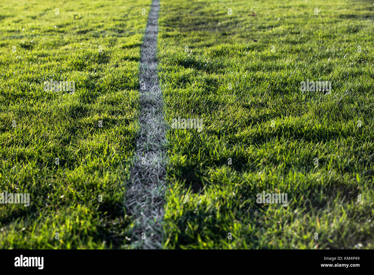 Gras und linie -Fotos und -Bildmaterial in hoher Auflösung – Alamy