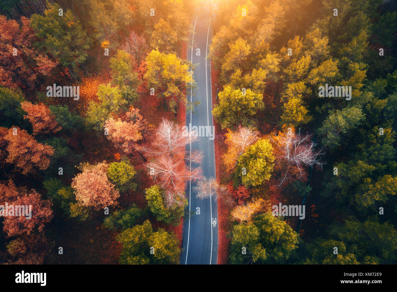 Autobahn durch herbstlichen wald -Fotos und -Bildmaterial in hoher Auflösung – Alamy