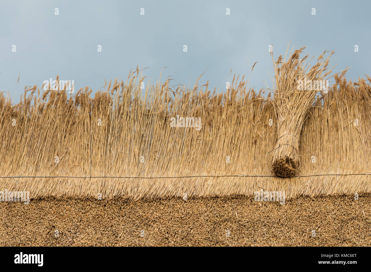 Thatcher thatching ein Dach eines Hauses mit neuen Stroh. Strohdach ...