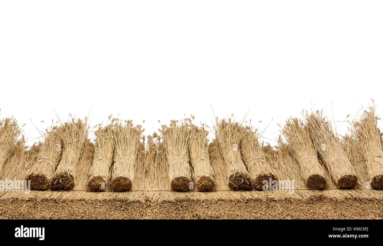 Reed roof texture -Fotos und -Bildmaterial in hoher Auflösung – Alamy