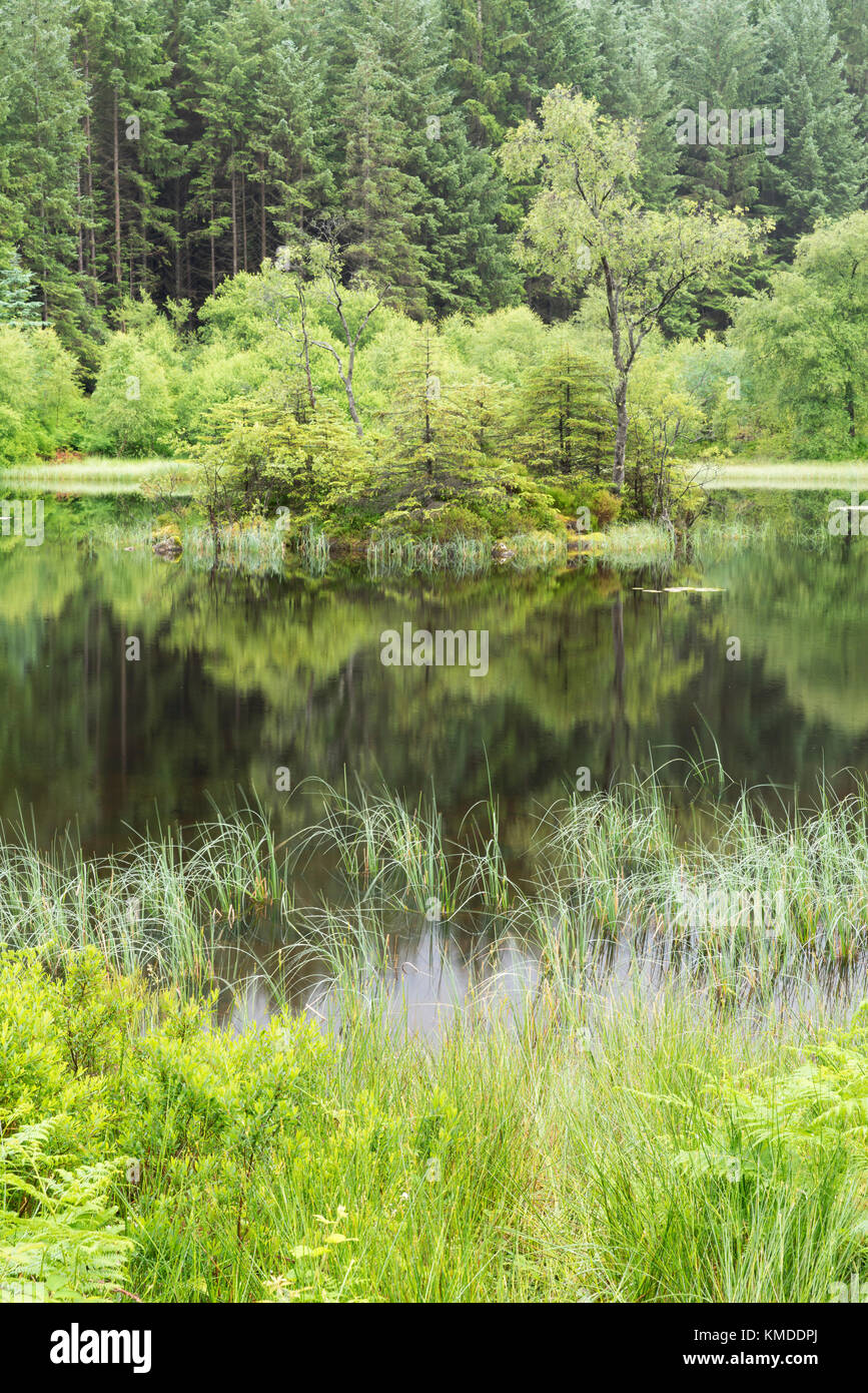 Lochan Spling Trossachs Stockfotos und -bilder Kaufen - Alamy