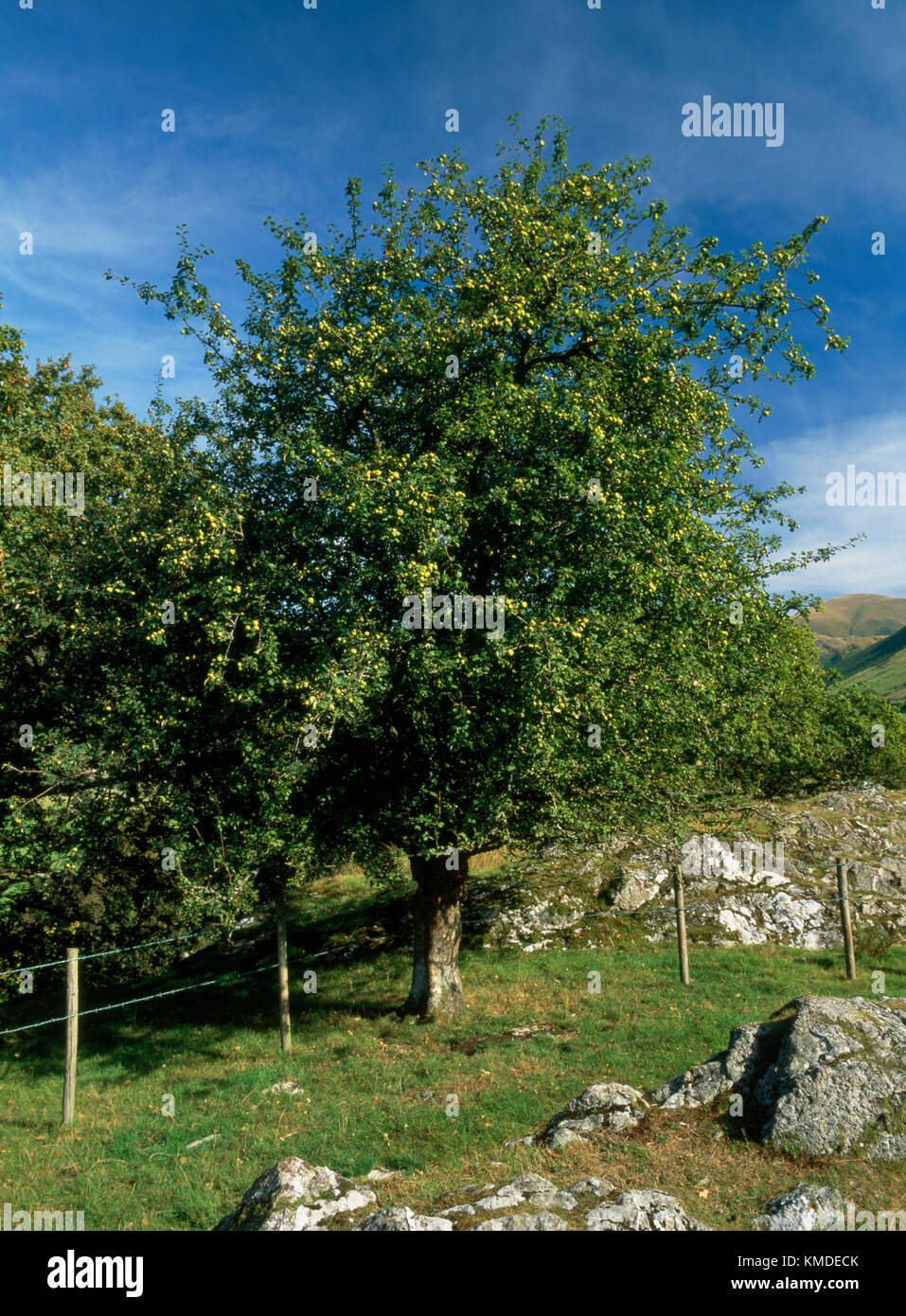 Seichter boden felsiger boden -Fotos und -Bildmaterial in hoher ...