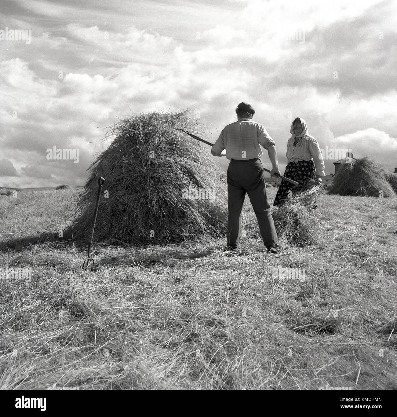 1950, historische, Mann und Frau Bauern stehen draußen in ein Feld, mit ...