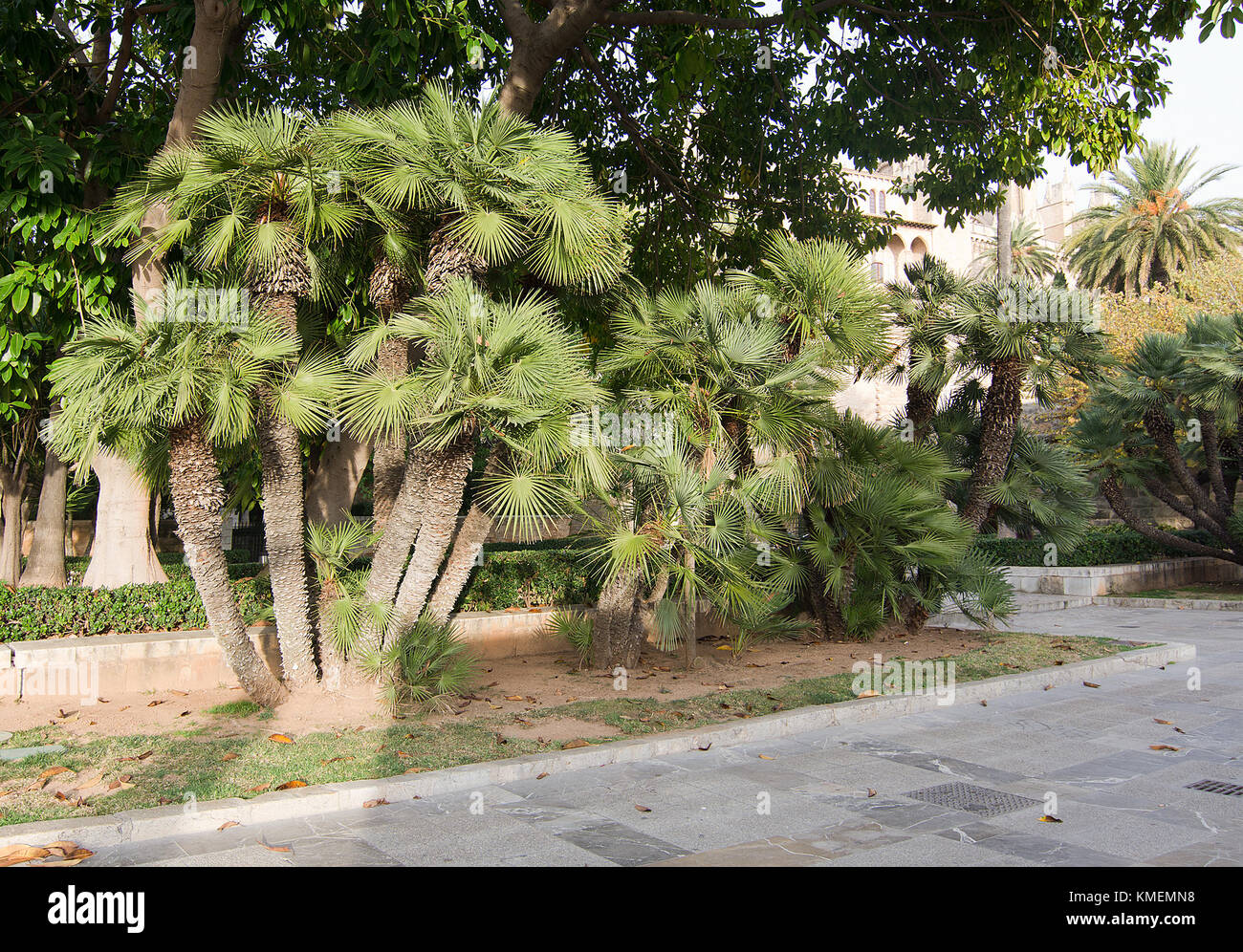 Rinde feuerfest -Fotos und -Bildmaterial in hoher Auflösung – Alamy