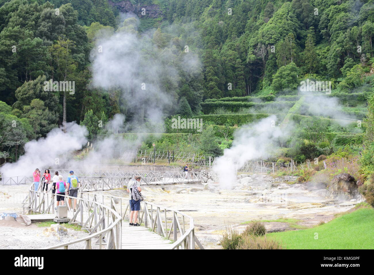 Fumarolas da Lagoa das Furnas, Sao Miguel, Azoren, Azoren. Geysire ...