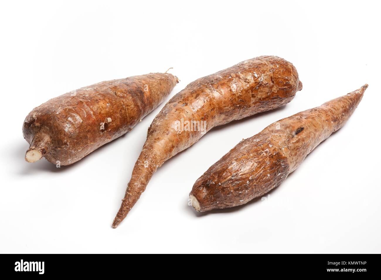 Ist maniok ist -Fotos und -Bildmaterial in hoher Auflösung – Alamy