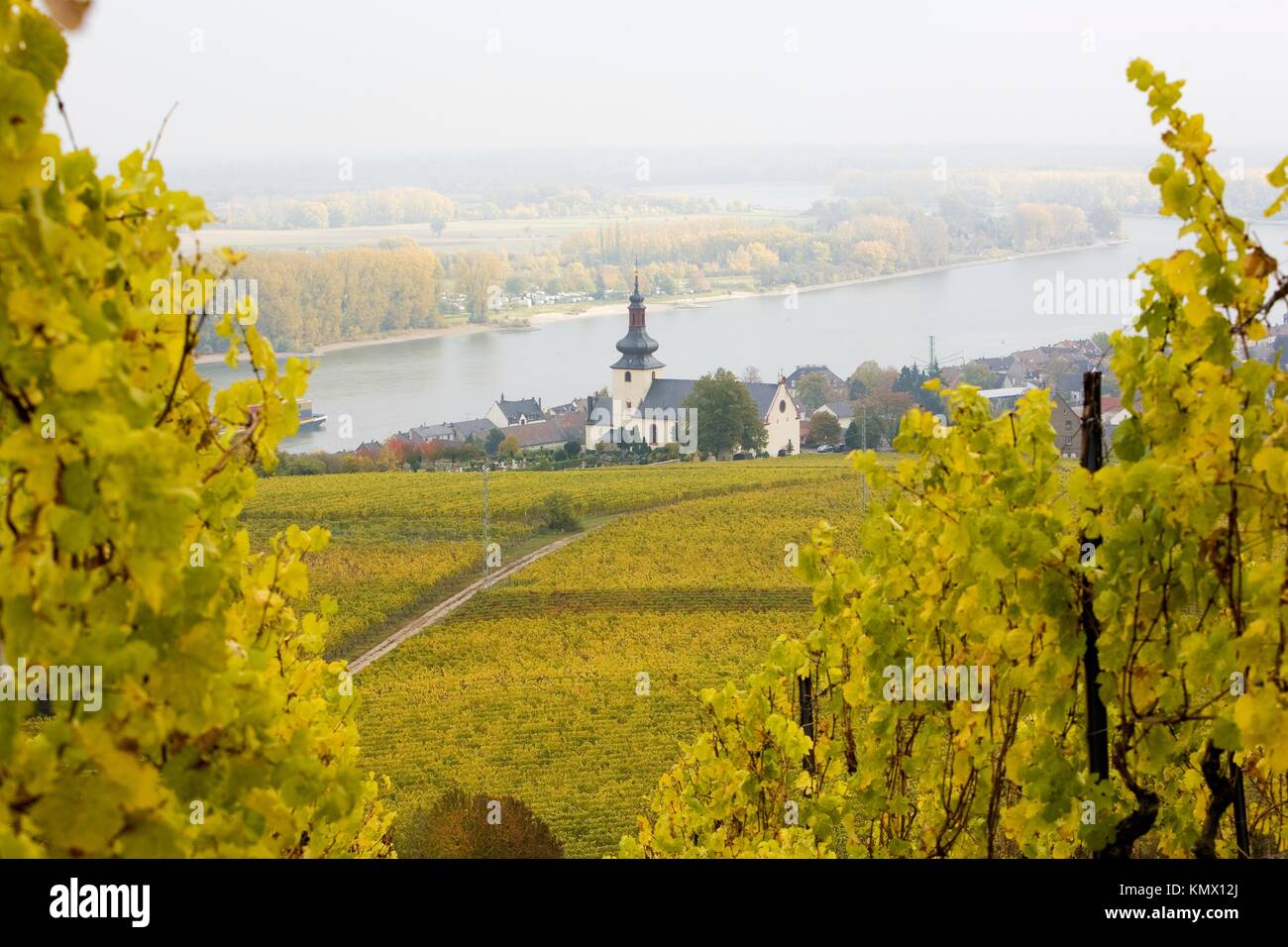 Deutschland rheingau -Fotos und -Bildmaterial in hoher Auflösung – Alamy