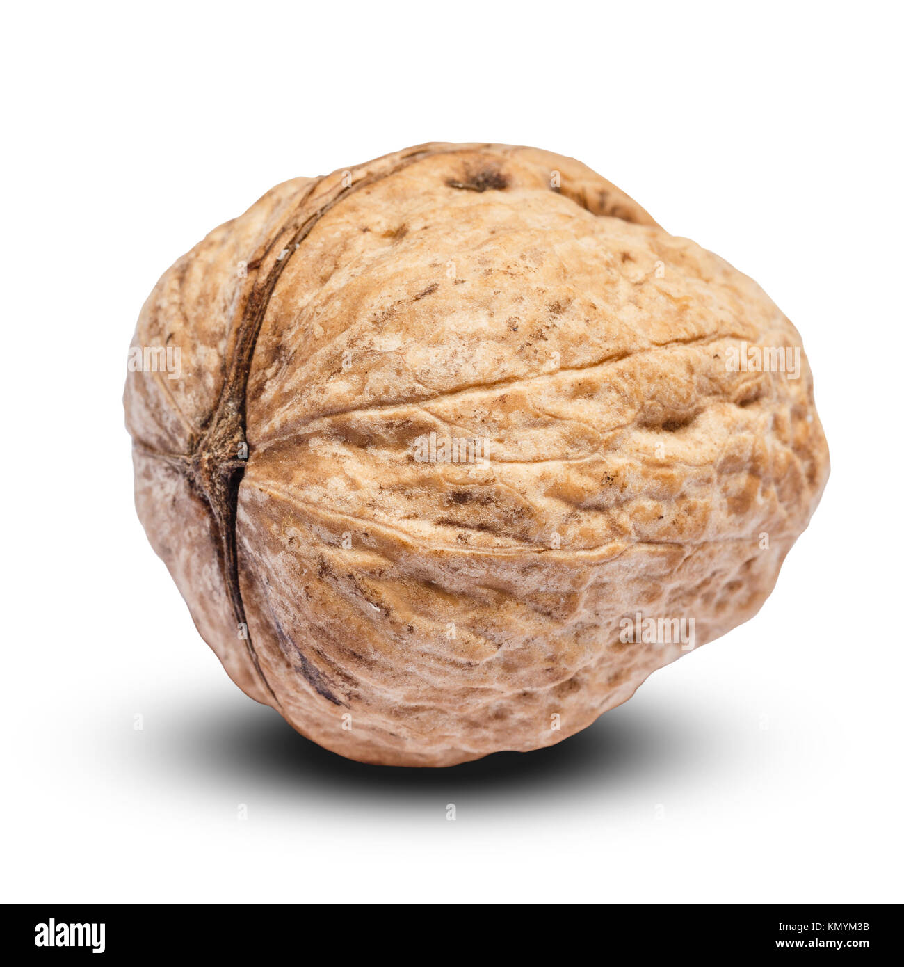 Ganze Walnuss auf weißem Hintergrund. Freistellungspfad Stockfotografie ...