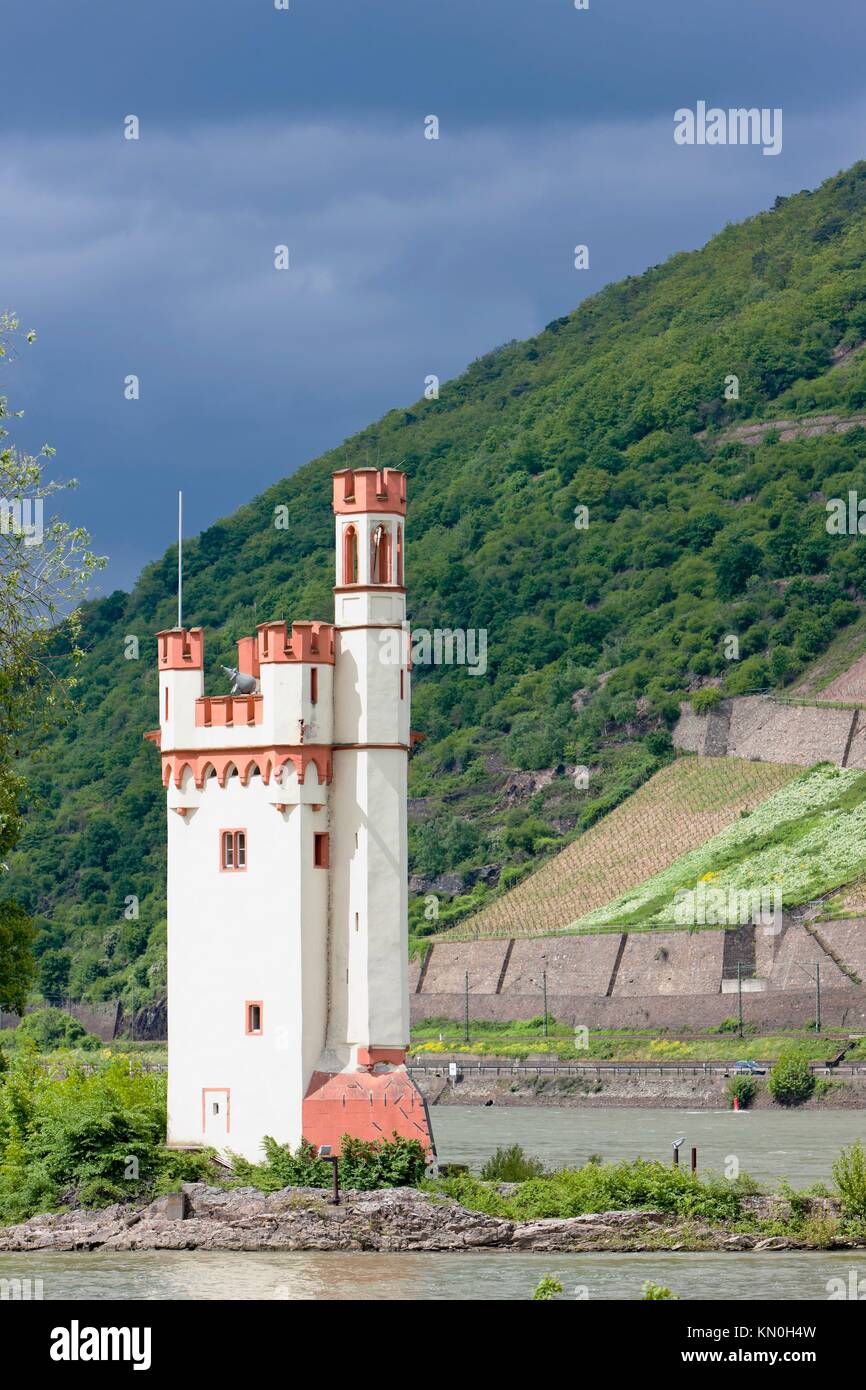 Binger maeuseturm rhine river mouse -Fotos und -Bildmaterial in hoher Auflösung – Alamy