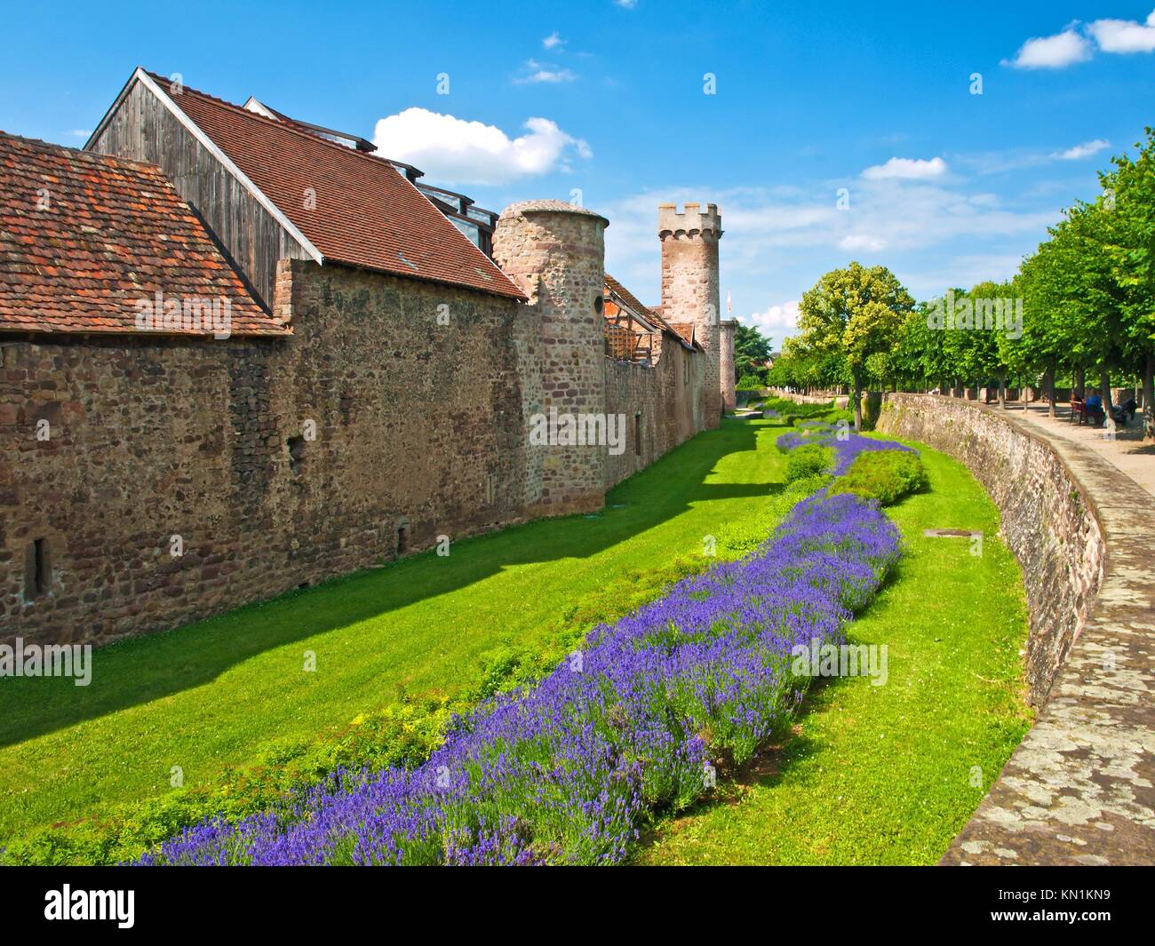 Alte mittelalterliche Stadtmauer in Frankreich, im Elsass ...