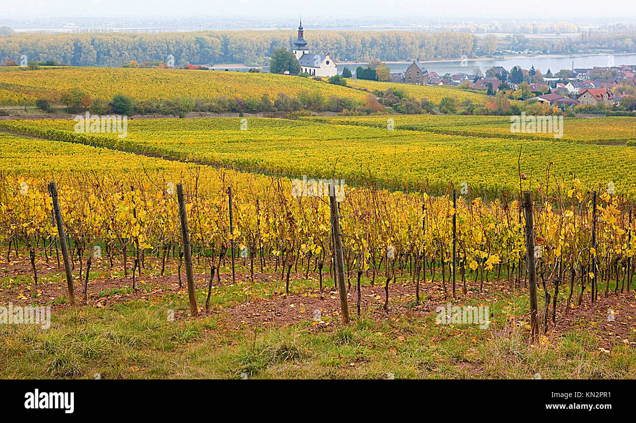 Der rheingau Stockfotos und -bilder Kaufen - Alamy