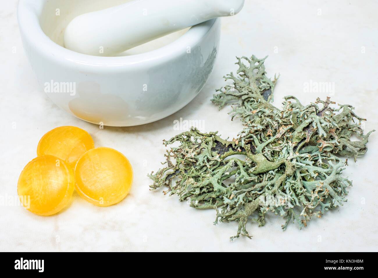 Lichen Islandicus Stockfotos und -bilder Kaufen - Alamy