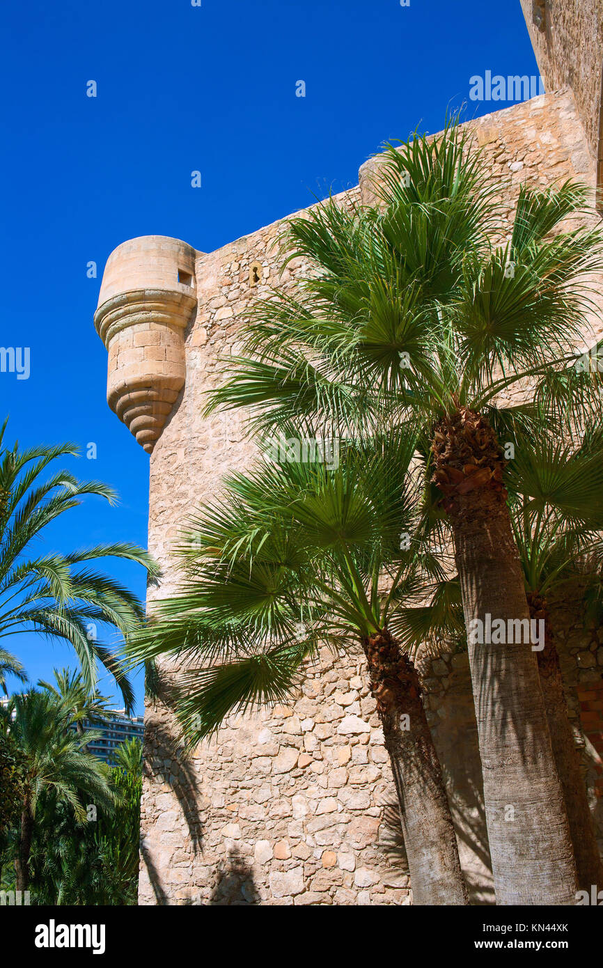 Elche Elx-Alicante El Palmeral Palmen Park und Altamira Palace Spanien ...