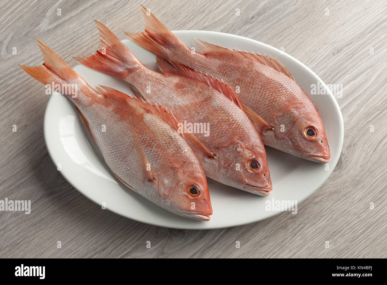 Frischer schnapper Stockfotos und -bilder Kaufen - Alamy