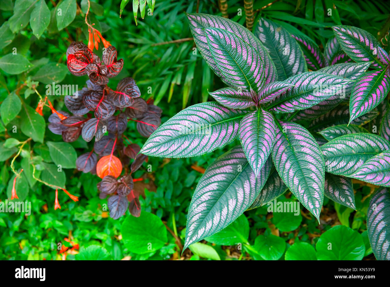 Val rameh -Fotos und -Bildmaterial in hoher Auflösung – Alamy