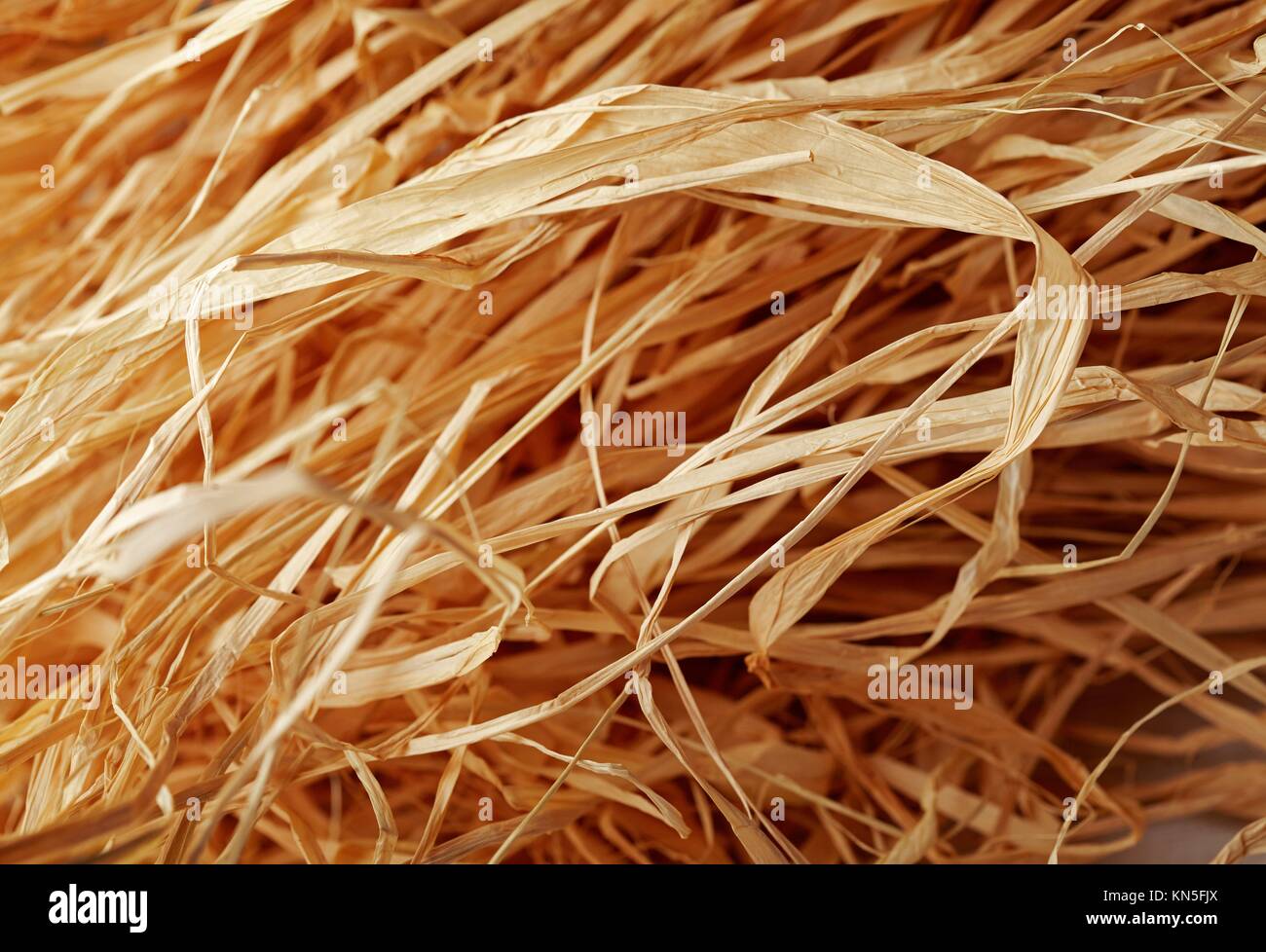 Heu gras symbol -Fotos und -Bildmaterial in hoher Auflösung – Alamy