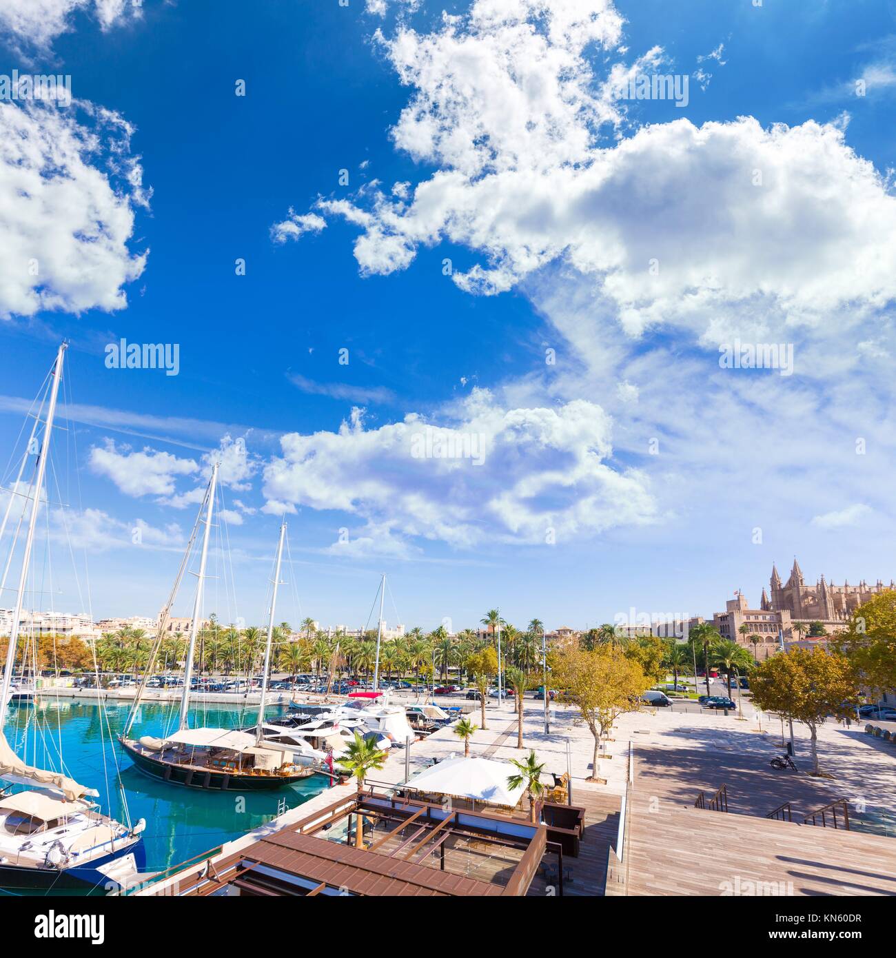 Kelly insel -Fotos und -Bildmaterial in hoher Auflösung – Alamy