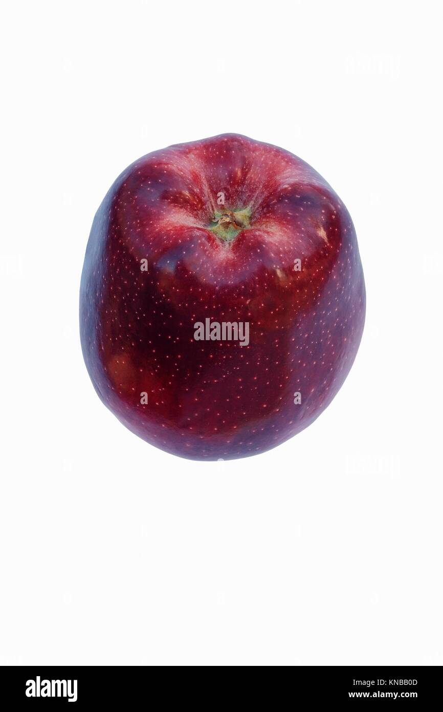 Malus domestica red delicious -Fotos und -Bildmaterial in hoher ...