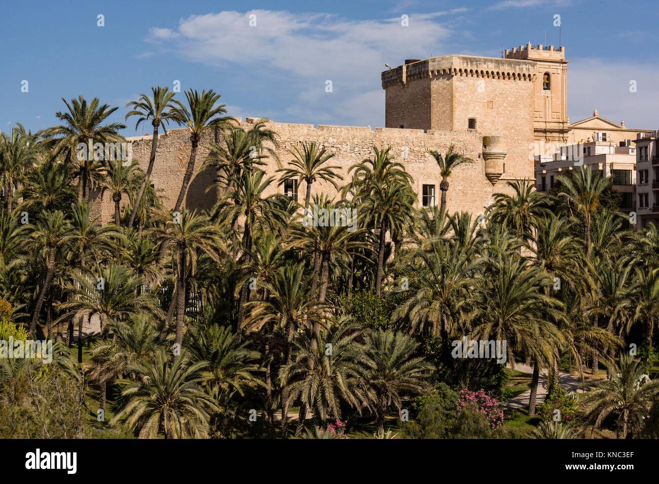 Elche santa maria -Fotos und -Bildmaterial in hoher Auflösung – Alamy