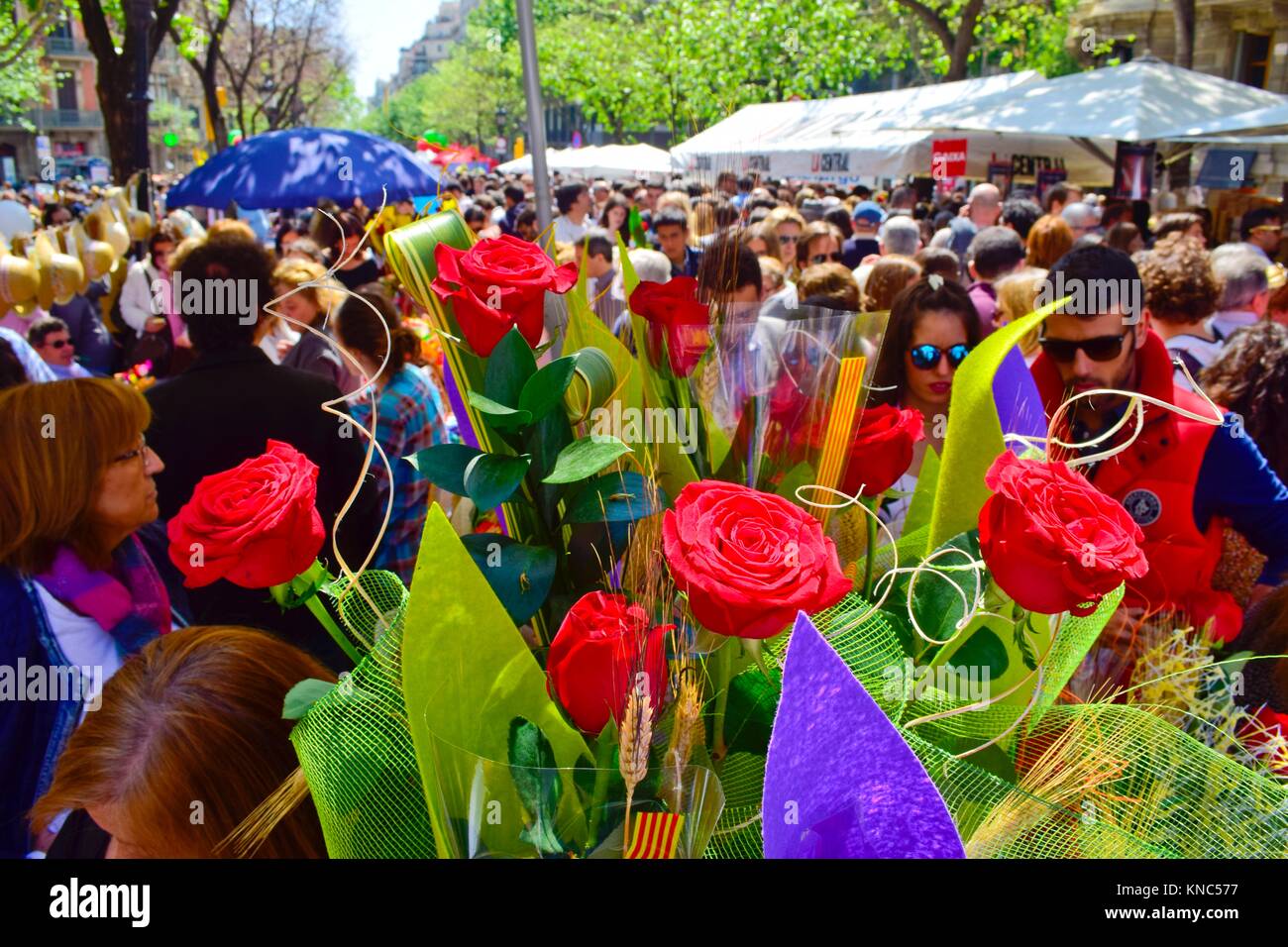 Roses sant jordi 23 april fest -Fotos und -Bildmaterial in hoher ...