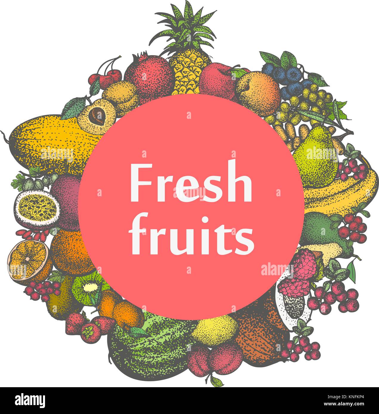 Vector mark Aufkleber Schild Symbol von frischem Obst Stock ...