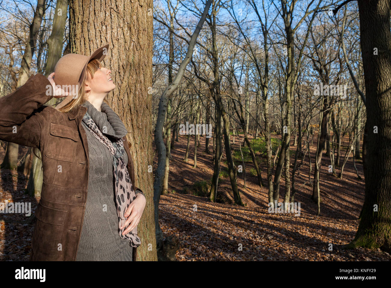 Bencroft holz -Fotos und -Bildmaterial in hoher Auflösung – Alamy