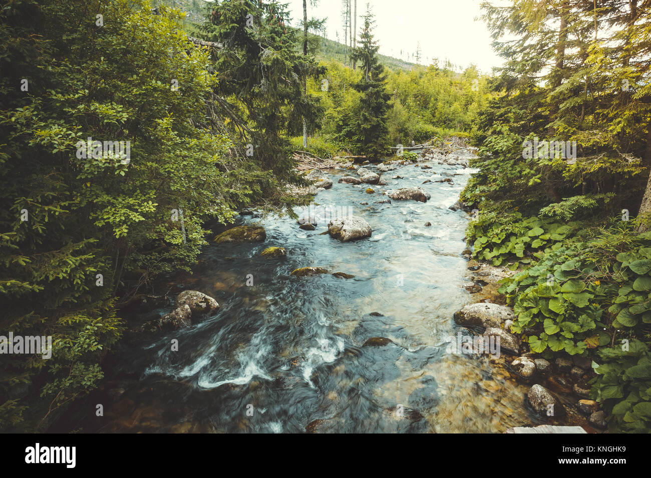 Central valley landschaft -Fotos und -Bildmaterial in hoher Auflösung ...