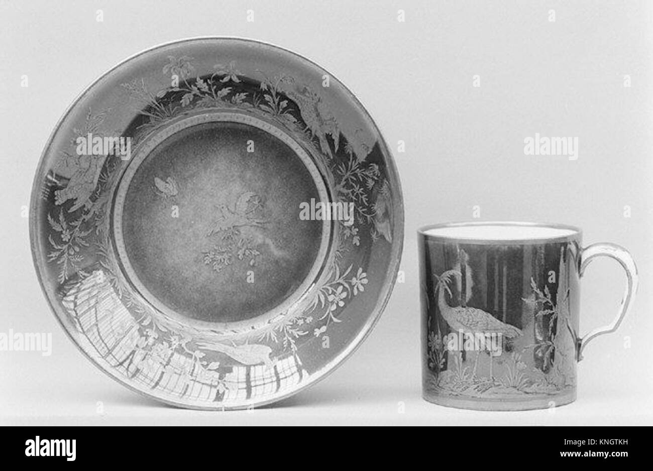 Litron -Fotos und -Bildmaterial in hoher Auflösung – Alamy