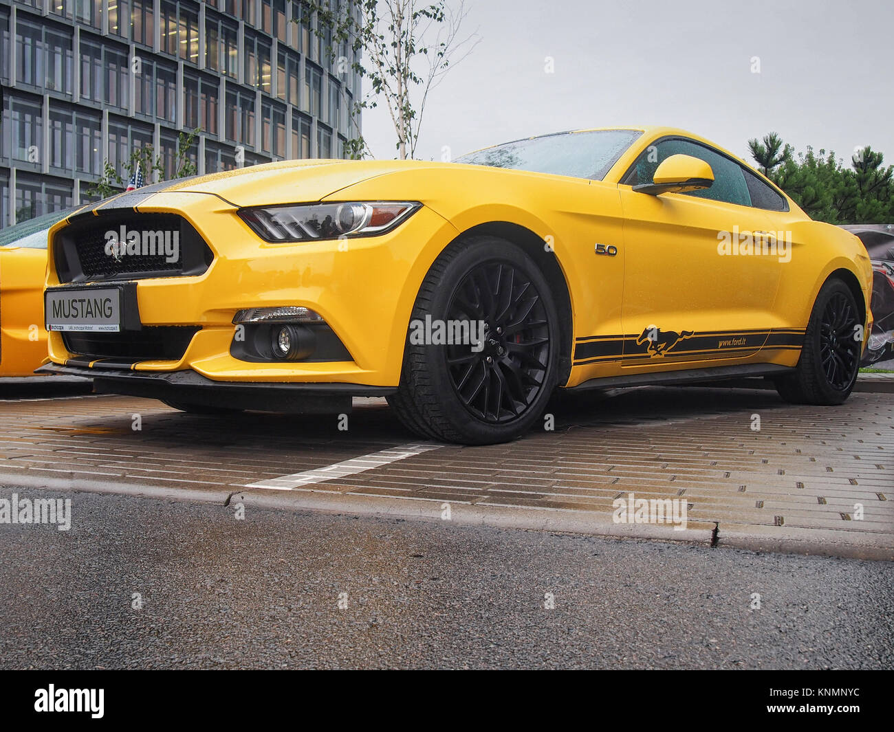 Gelber Ford Mustang 5,0 L Coyote (6. Generation) in den Regen. Dieses ...