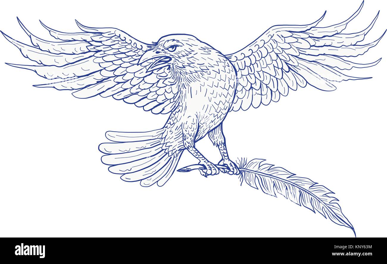 Zeichnung Skizze stil Abbildung eines gemeinsamen oder nördlichen Rabe ...