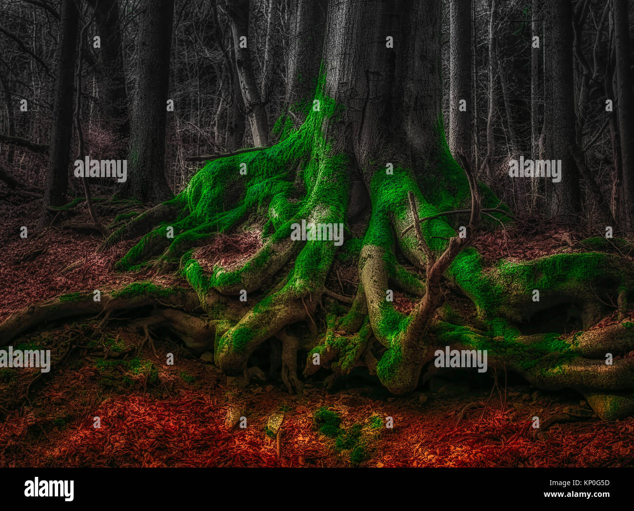 Surrealen Märchen fine art Fantasy outdoor Bild des gigantischen ...