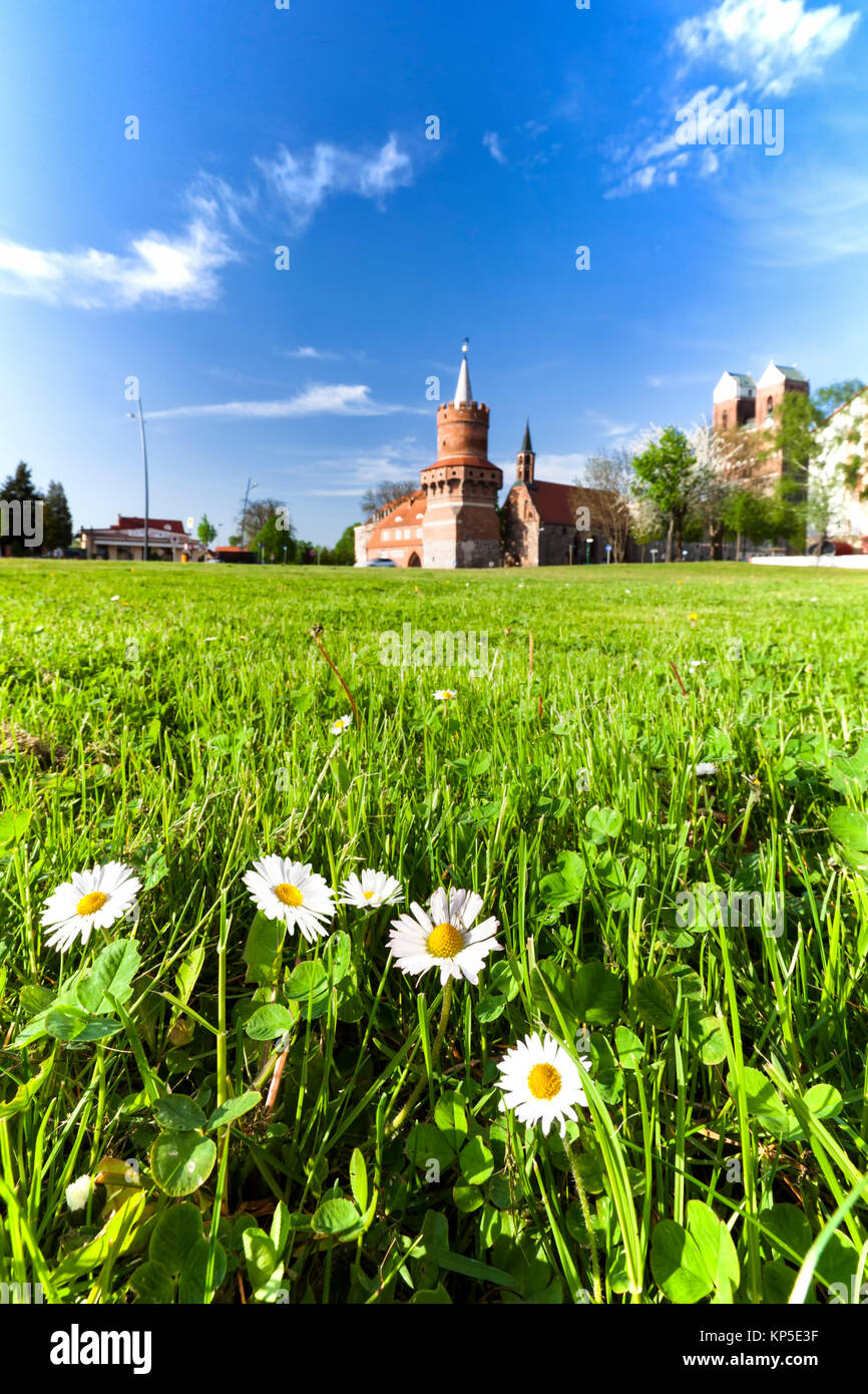 Prenzlau uckermark -Fotos und -Bildmaterial in hoher Auflösung – Alamy