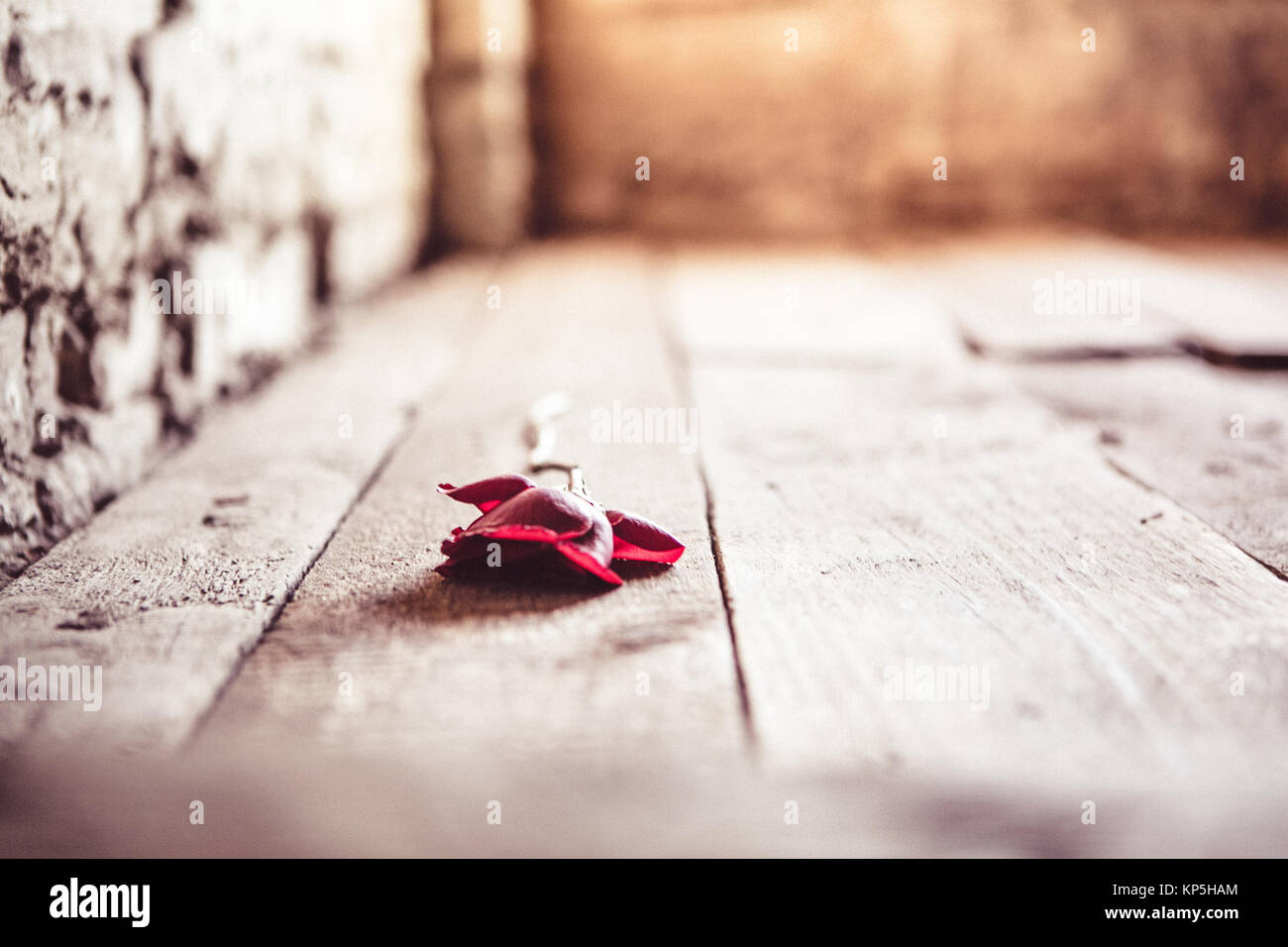 Auschwitz iii monowitz -Fotos und -Bildmaterial in hoher Auflösung – Alamy