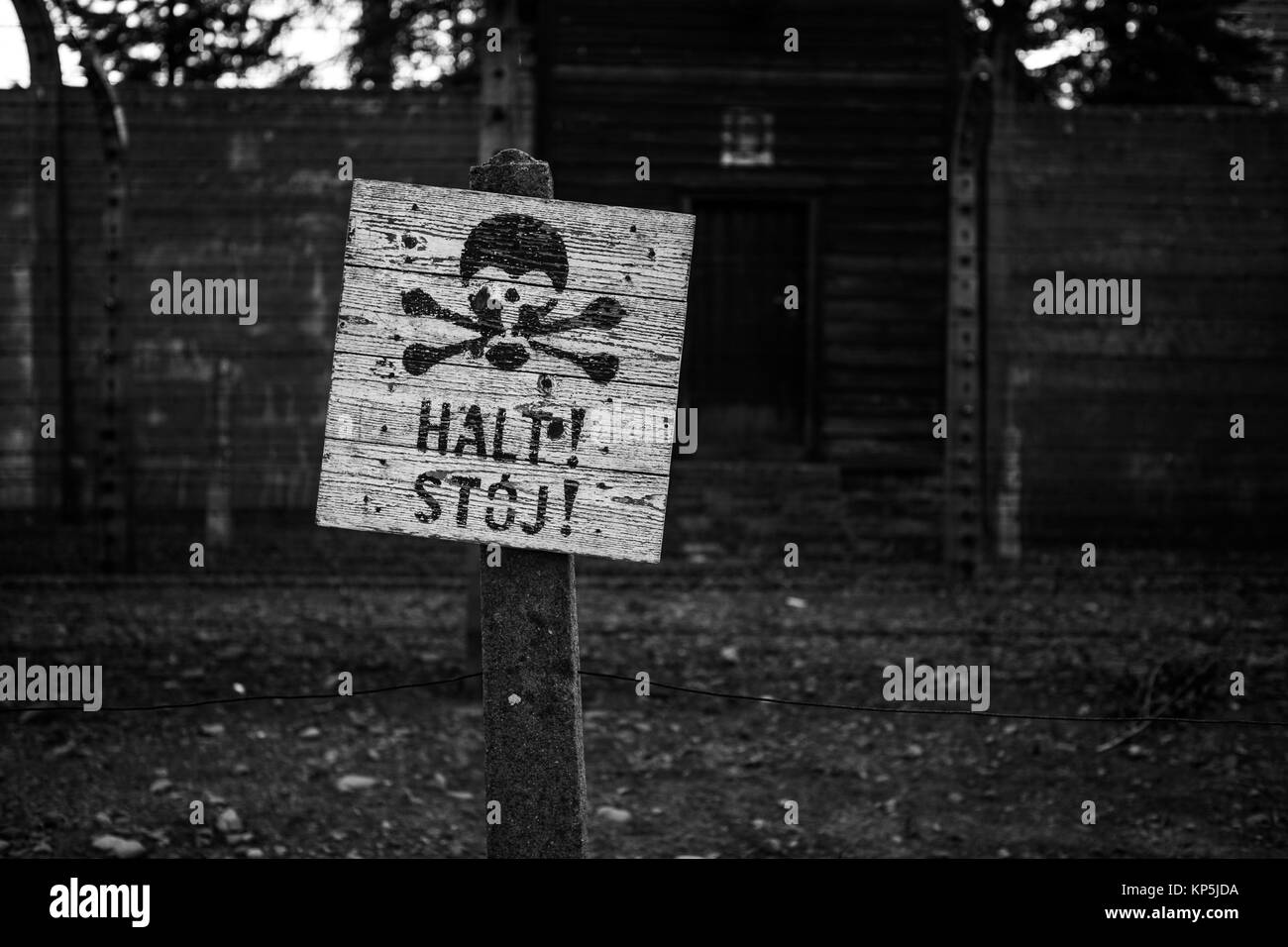 Auschwitz birkenau -Fotos und -Bildmaterial in hoher Auflösung – Alamy