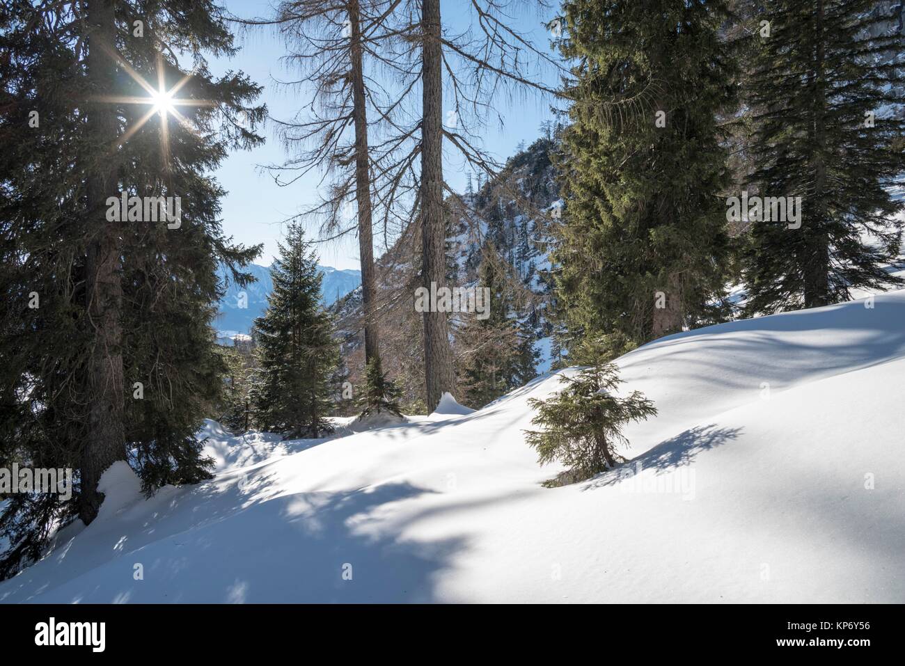 Hoher Nock Bergwelt im Nationalpark Kalkalpen im Winter, Oberösterreich ...