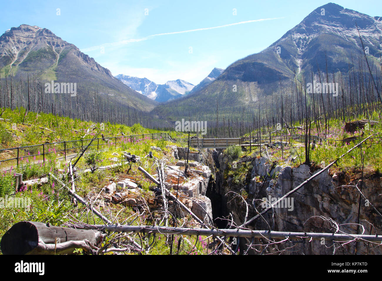 Mount whymper -Fotos und -Bildmaterial in hoher Auflösung – Alamy