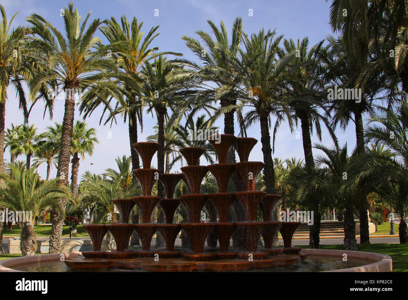 Elche palm -Fotos und -Bildmaterial in hoher Auflösung – Alamy
