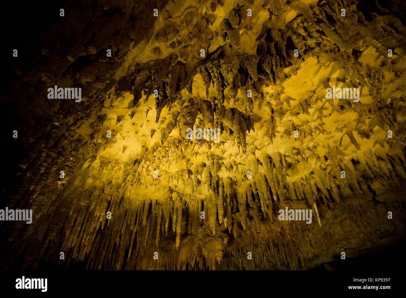 Stalaktiten in Gyukusendo Höhle Stockfotografie - Alamy