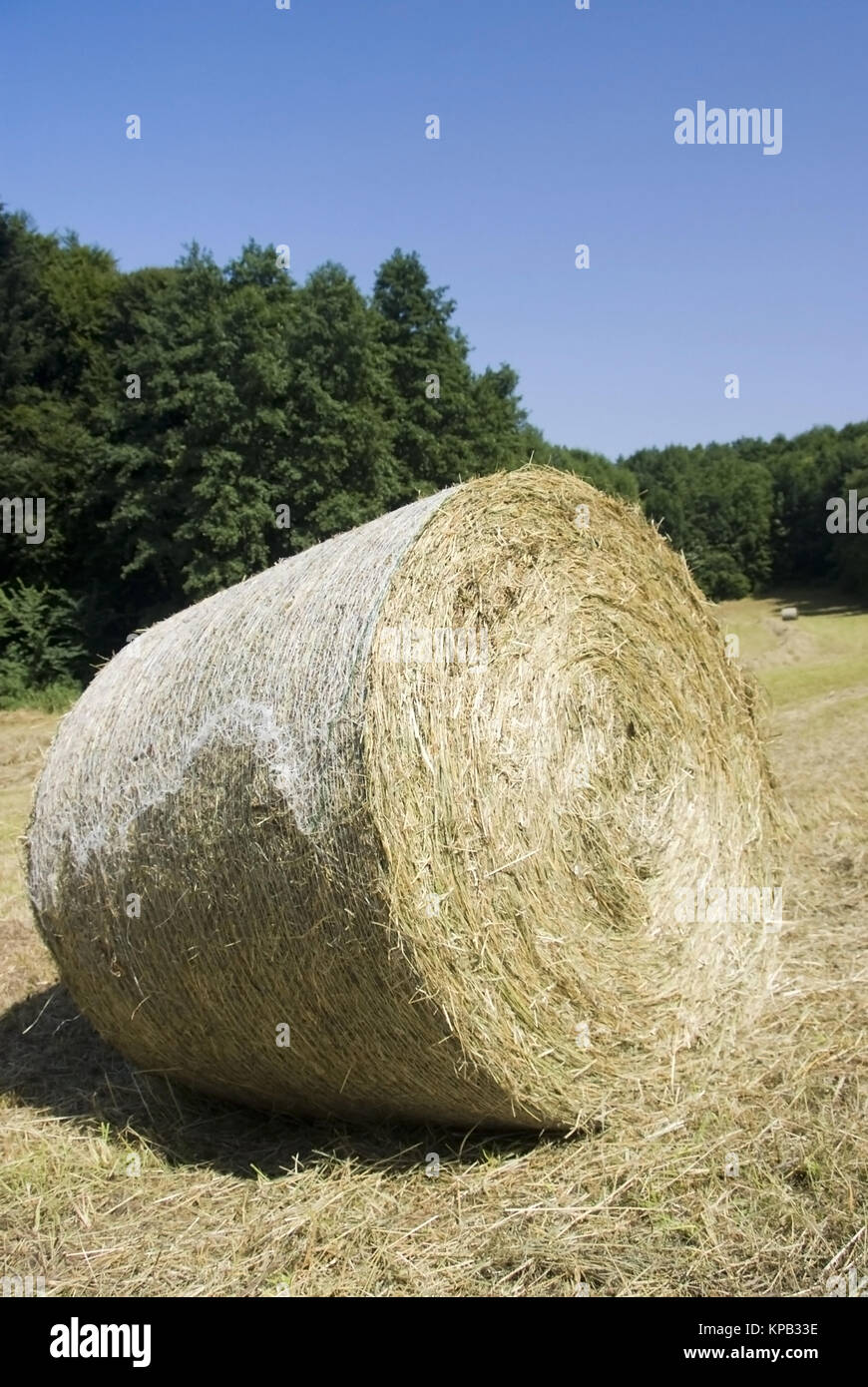 Heuernte heuernte -Fotos und -Bildmaterial in hoher Auflösung – Alamy