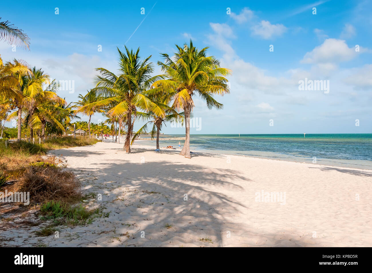 Beach key west -Fotos und -Bildmaterial in hoher Auflösung – Alamy