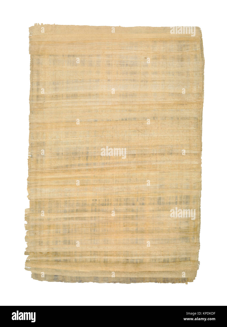 Papyrus stalk -Fotos und -Bildmaterial in hoher Auflösung – Alamy