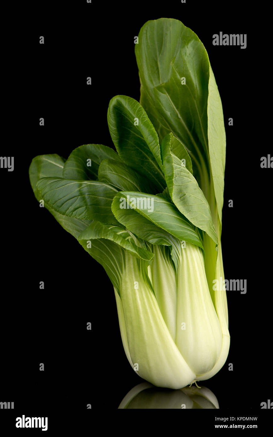Shanghai pak choi shanghai senfkohl -Fotos und -Bildmaterial in hoher ...