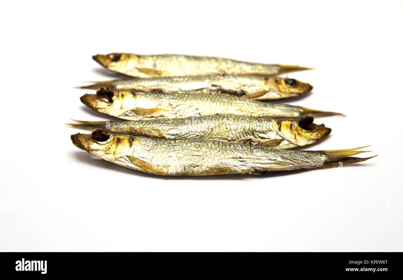 Mehrere europäische geräucherte Sprotten (Sprattus sprattus ...
