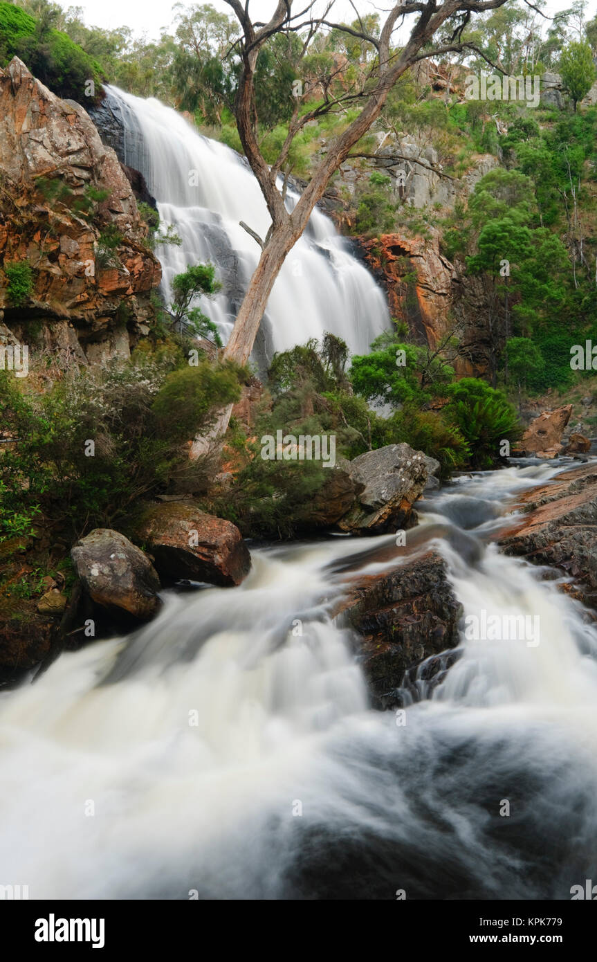 MacKenzie Falls, Grampians National Park (Gariwerd), Victoria ...
