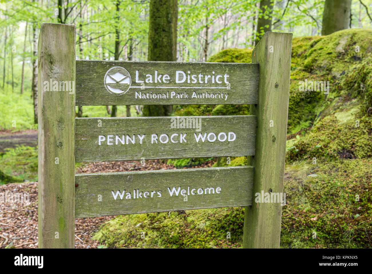 Penny rock -Fotos und -Bildmaterial in hoher Auflösung – Alamy