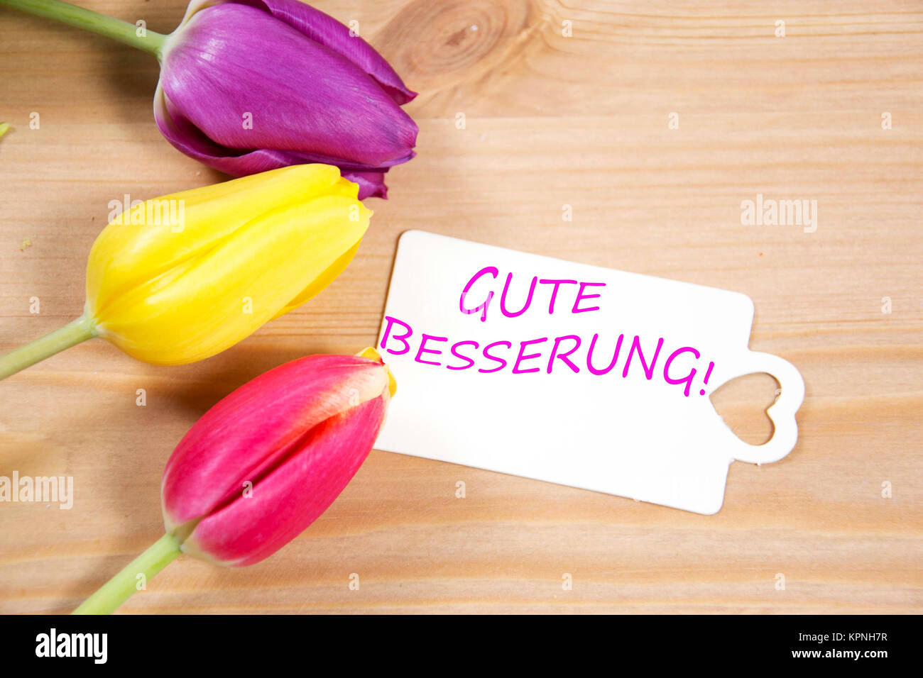 Gute karte mit tulpen -Fotos und -Bildmaterial in hoher Auflösung – Alamy