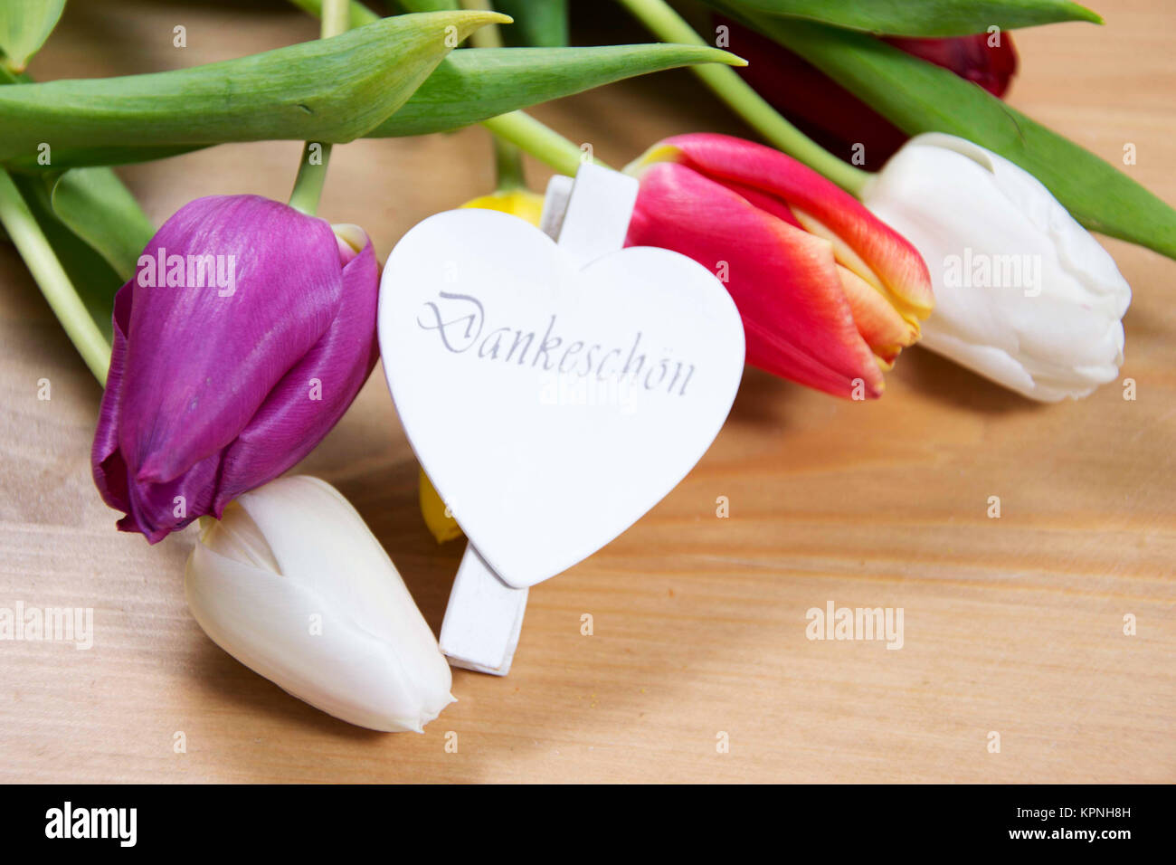 Danke mit tulpen -Fotos und -Bildmaterial in hoher Auflösung – Alamy