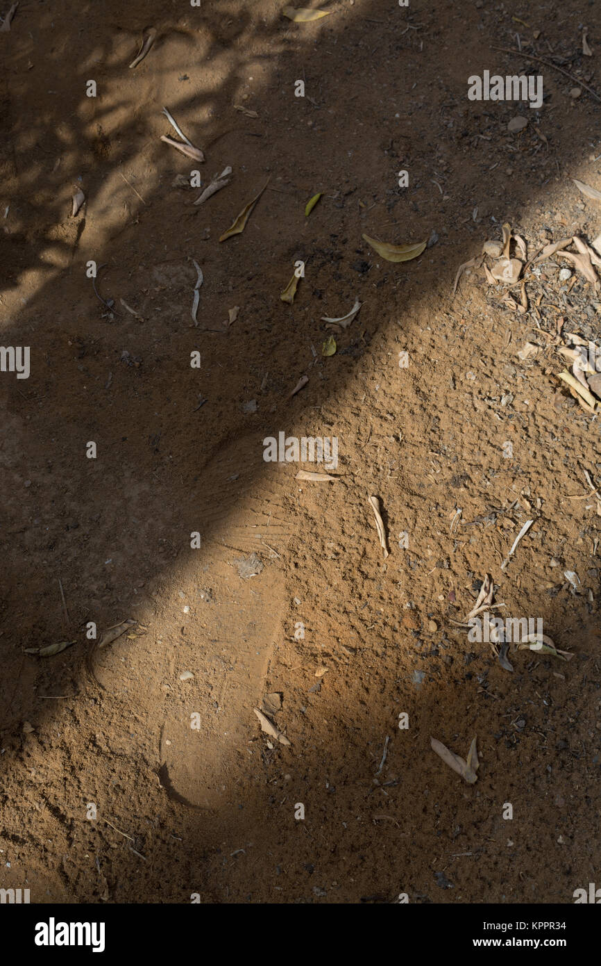 Zu dreck -Fotos und -Bildmaterial in hoher Auflösung – Alamy