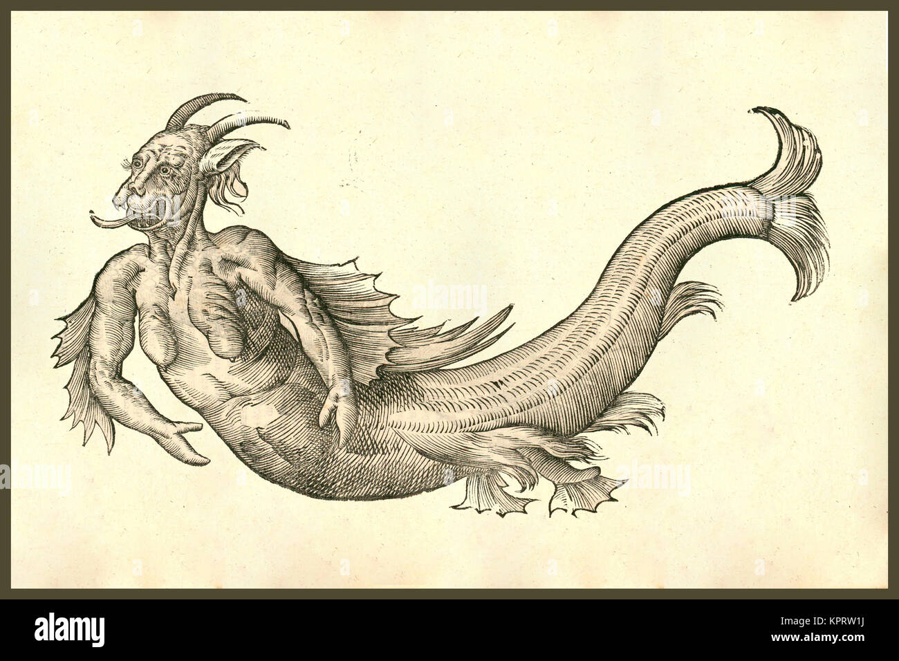 Crane demon -Fotos und -Bildmaterial in hoher Auflösung – Alamy