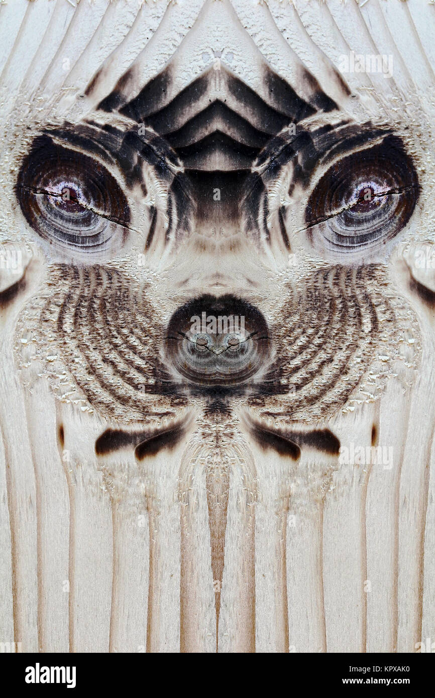 Das fremde, fremde oder tierische Gesicht im Holzbrett Stockfotografie ...